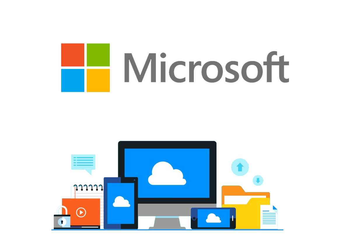 Microsoft– DG Services